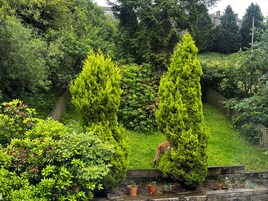 Casa de campo | Área da propriedade