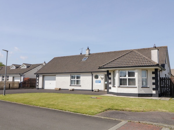 Seashells - County Donegal
