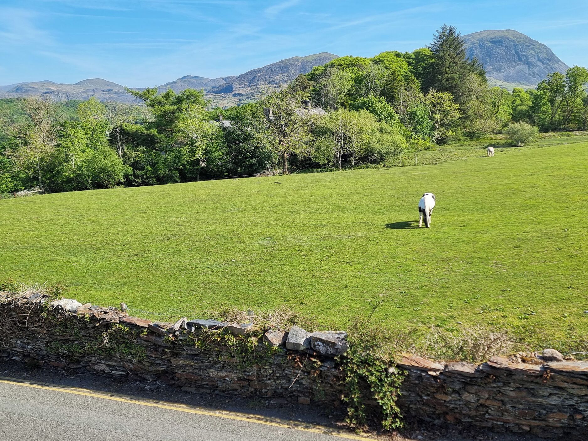 Paisagem rural com muro de pedra, um campo gramado e uma montanha ao fundo.