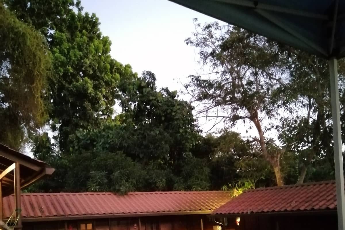 Uma cabana de madeira com telhado vermelho, cercada por um gramado e árvores.