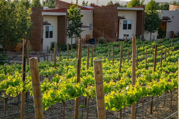 Ojo Azul Resort - Baja California