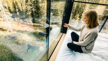 Nature Igloo | Vista do quarto