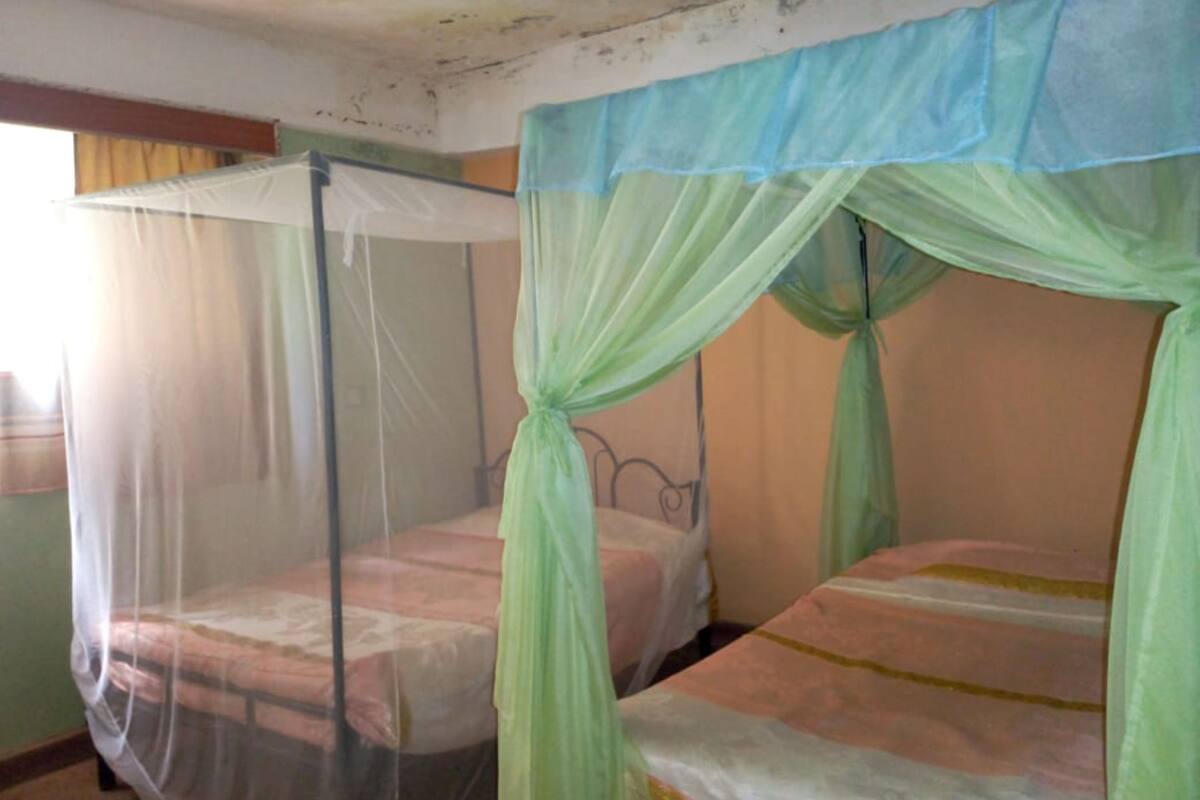 Duas camas de solteiro com mosquiteiro, uma parede lisa e uma janela com cortinas.