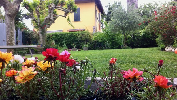 Um jardim com plantas em vasos e uma casa amarela ao fundo.