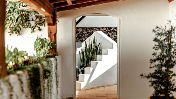 Uma escadaria conduz a um quarto com uma parede branca e um papel de parede preto e branco ao fundo.
