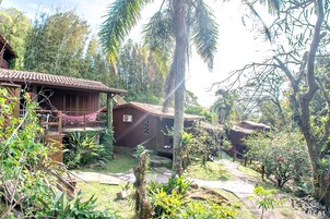Uma casa rústica de madeira com telhado de cerâmica, rodeada por vegetação exuberante e palmeiras.