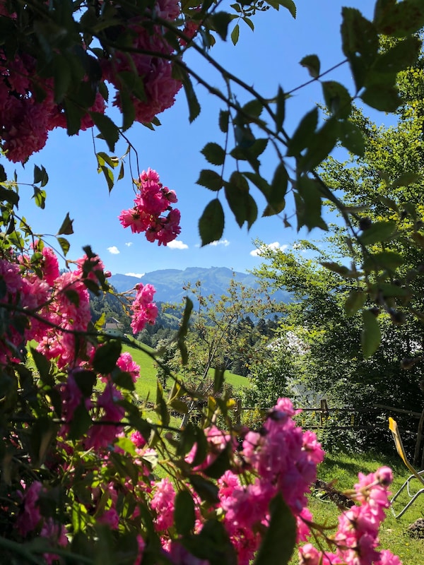 Haus Verdandi - Ruhe Finden Im Hier Und Jetzt - Balderschwang