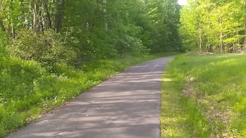 Um caminho pavimentado cercado por vegetação exuberante e árvores.