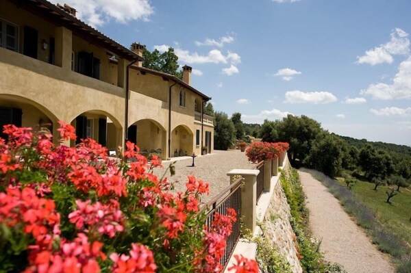 Tenuta Il Sassone - Wine & Food - Provincia di Grosseto