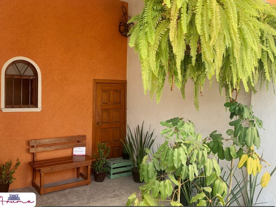 Terraço/pátio interior