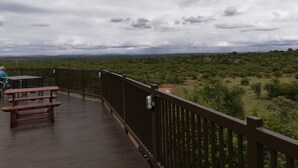 Um deck de madeira com bancos oferece vista para uma paisagem de árvores e colinas distantes sob um céu nublado.
