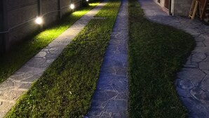 Uma passagem leva à entrada de um edifício, ladeada por um muro baixo e uma área de jardim bem iluminada.