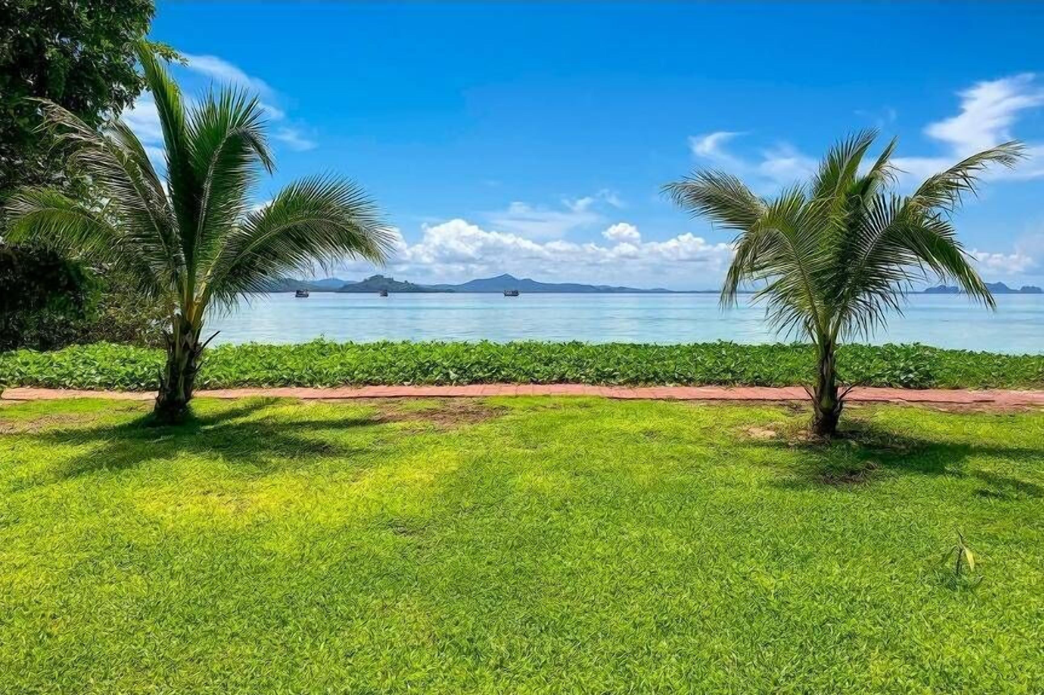 Uma área gramada com duas palmeiras e vista para um mar tranquilo com barcos ao longe.