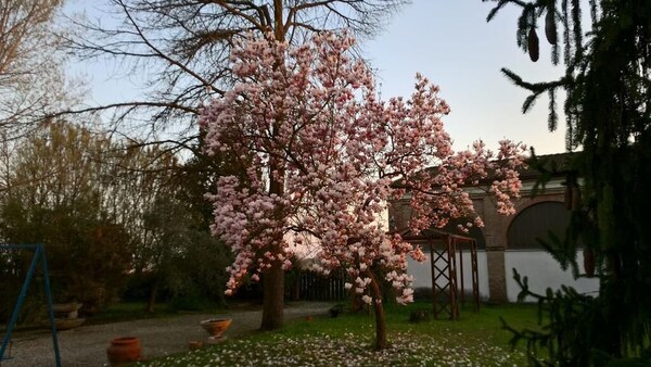 Agriturismo Cipolli E Podò Corte Carlini - Lombardie