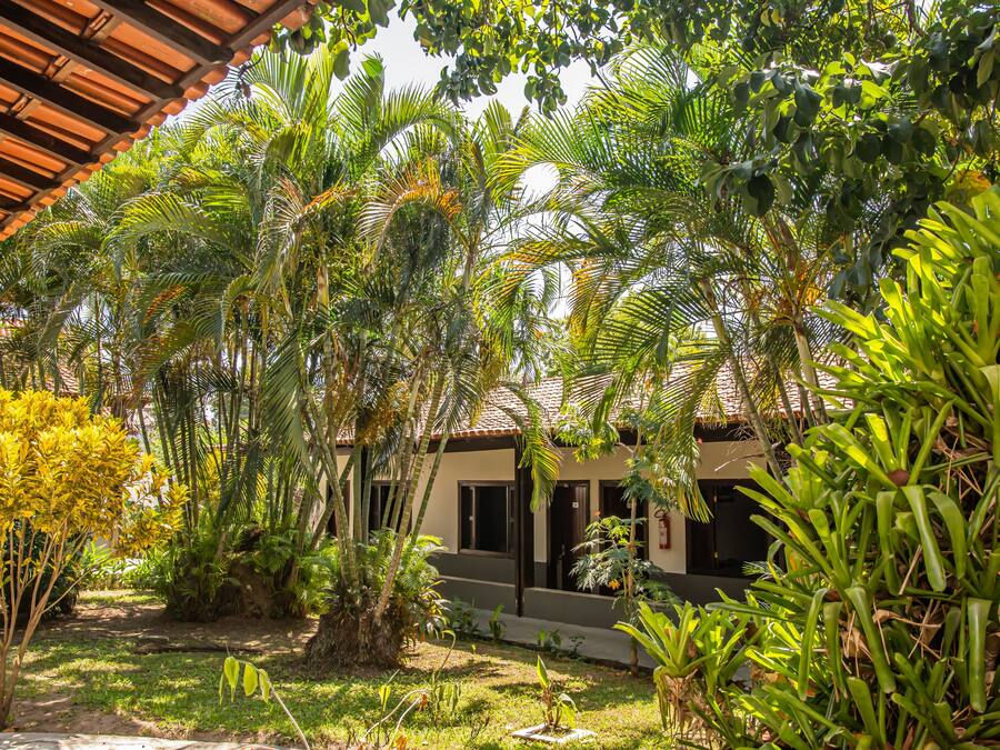 Jardim