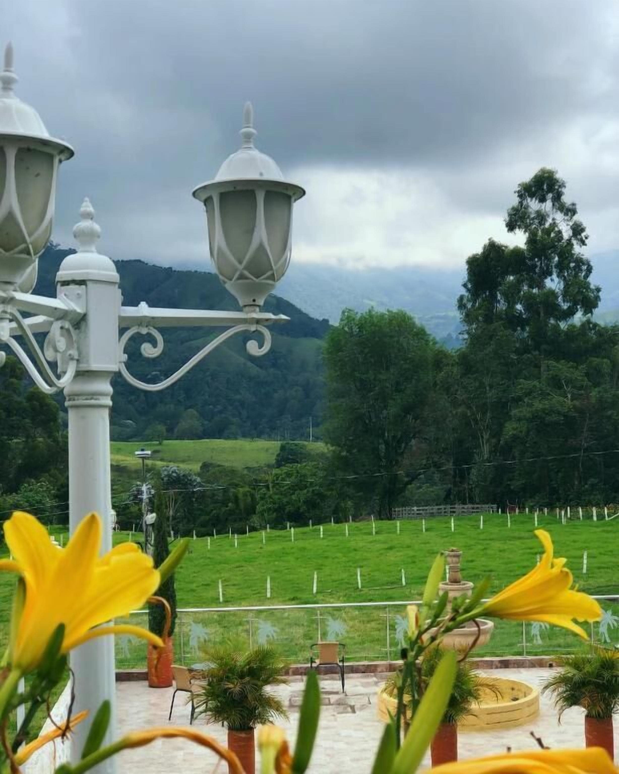 Um jardim com um poste de luz branco, flores amarelas e vista para colinas verdes sob um céu nublado.