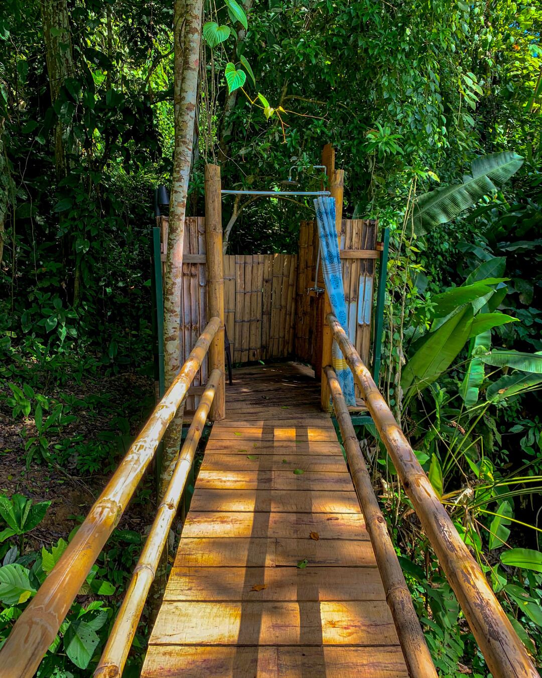 Uma ponte de madeira com guarda-corpo de bambu que leva a uma área coberta, cercada por vegetação densa.