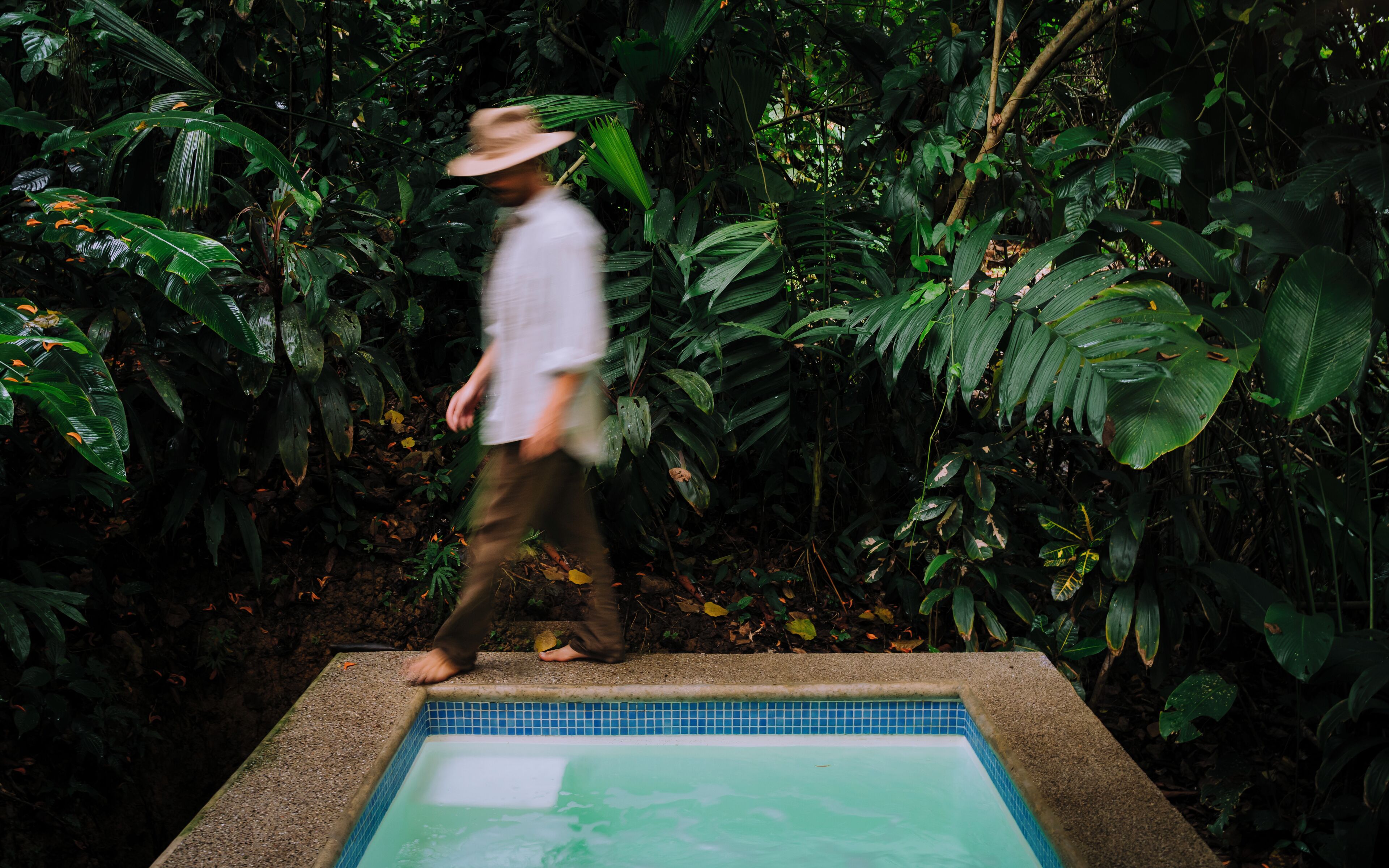 Casa na Árvore de Luxo, piscina privativa, vista para a colina | Vista para a colina