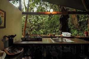 Cozinha com fogão a gás, pia e diversos utensílios. Visão de vegetação densa lá fora.