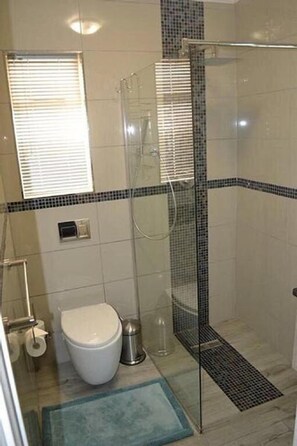 Casa de banho com chuveiro em cabine de vidro, sanita e um pequeno cesto de lixo.