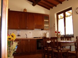 Apartamento, no rés do chão (Velzna) | Cozinha privada | Um frigorífico, um forno, uma placa de cozinha 