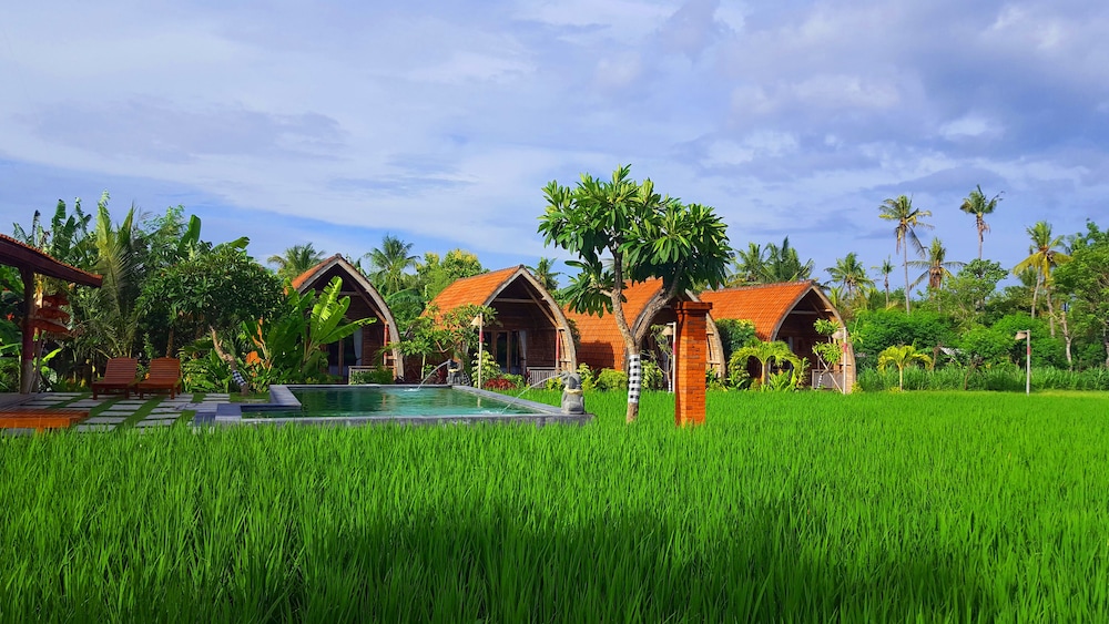 Umma Bali Menjangan - Bali