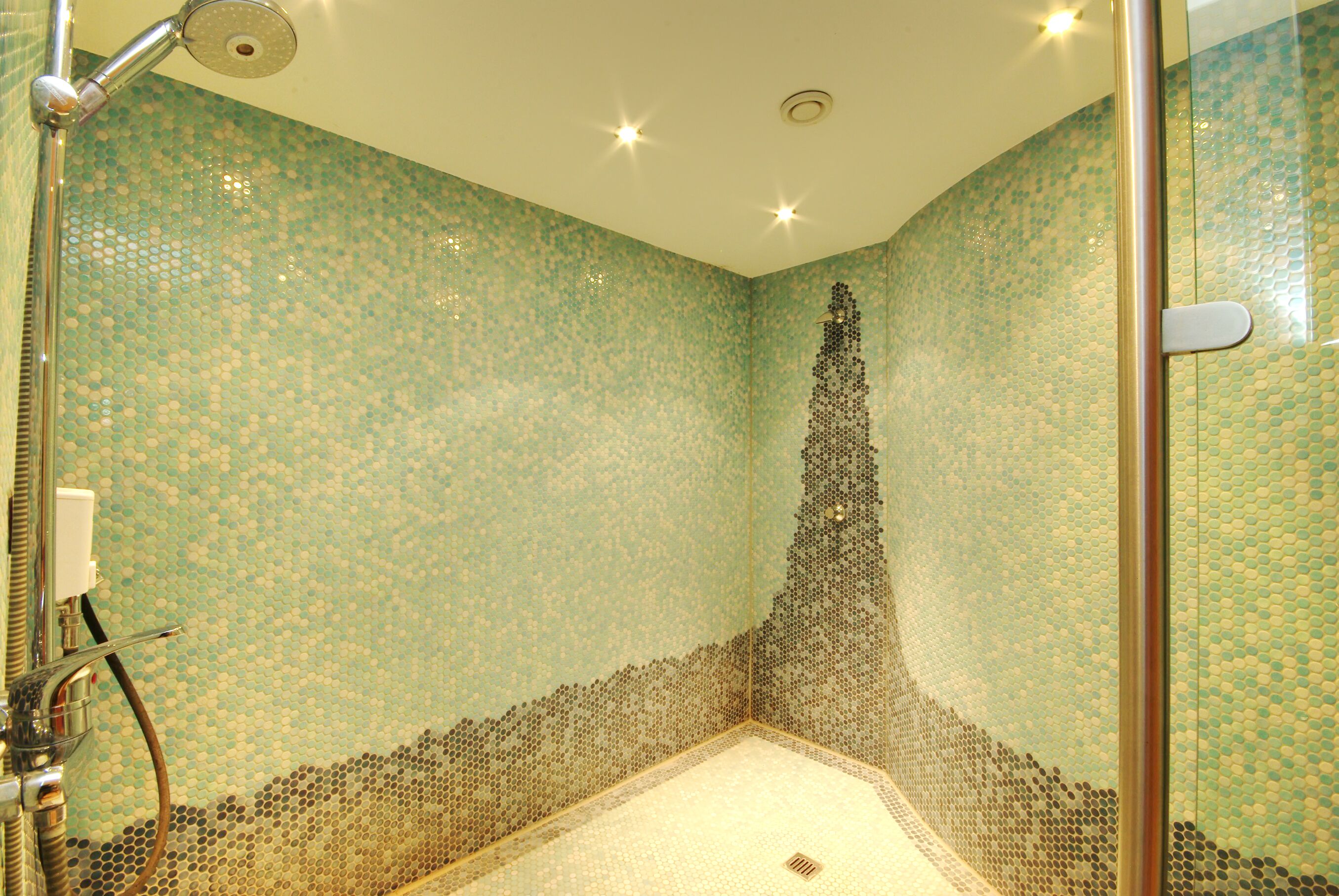 Chuveiro com paredes de azulejos decorativos e porta de vidro.