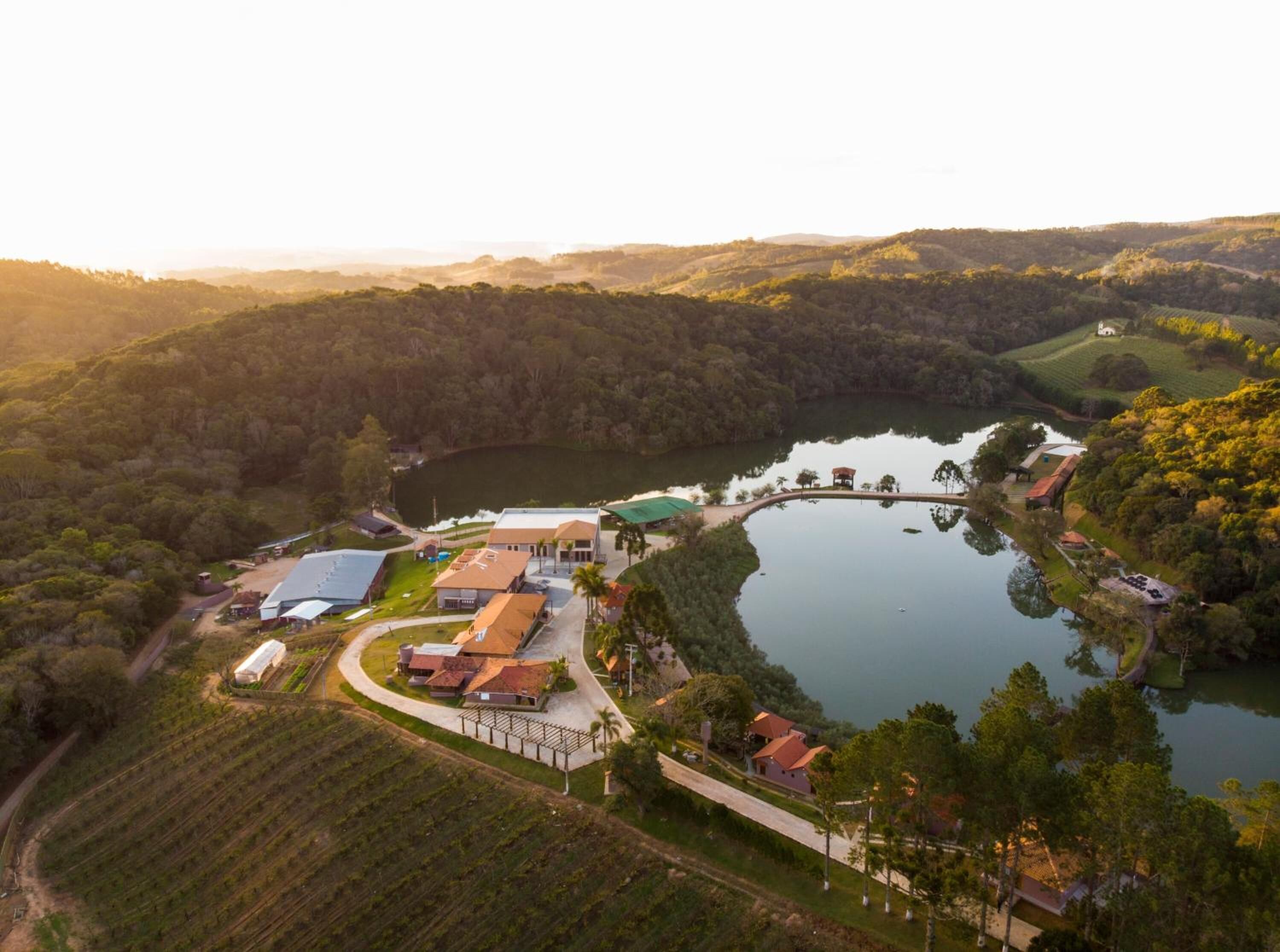 Vista aérea de uma propriedade com um lago, vinhedo e vários edifícios.