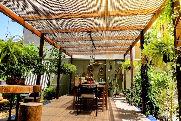 Televisor, impressoras