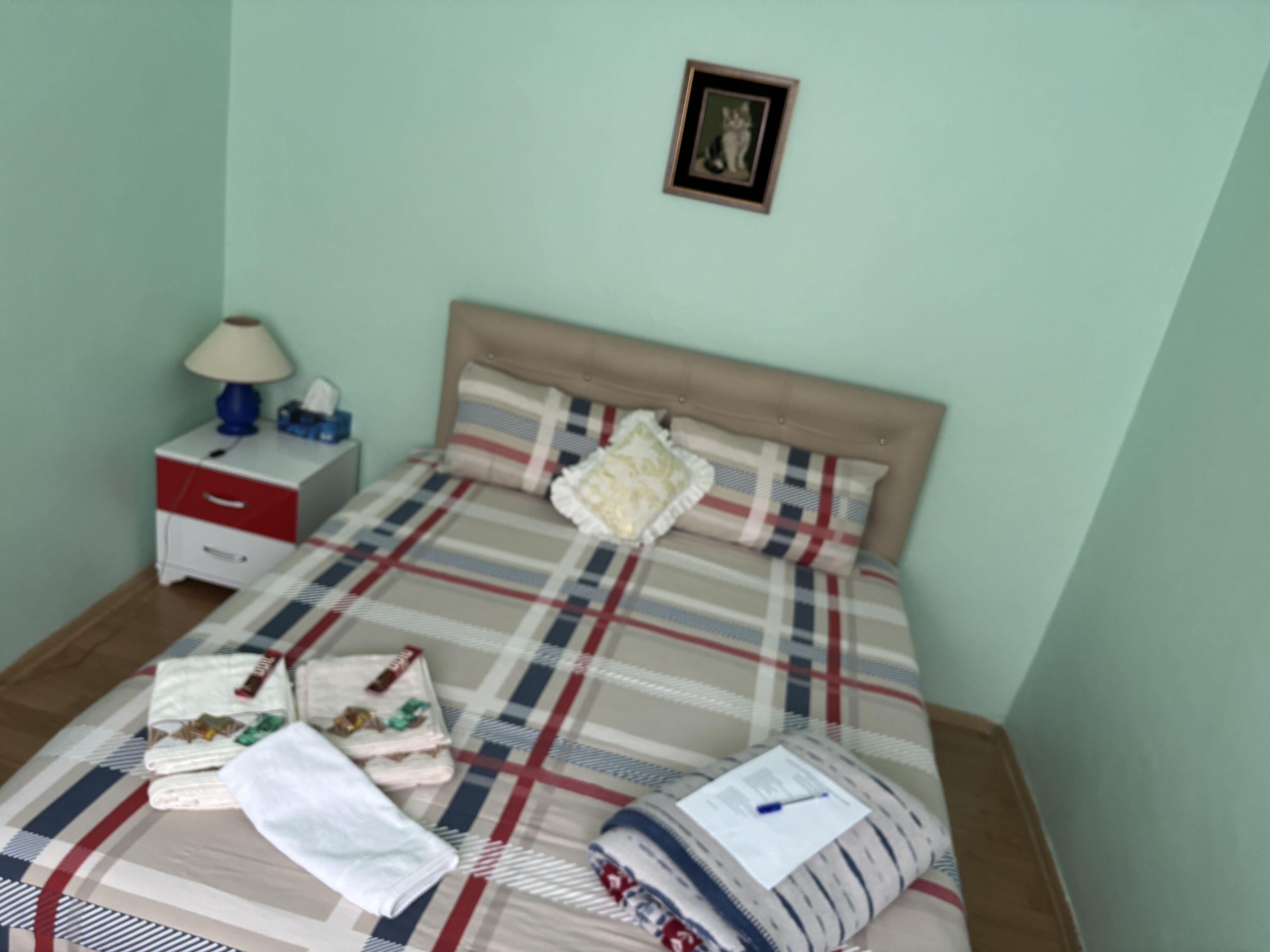 Cama bem arrumada com colcha xadrez, travesseiros e uma pequena mesa de cabeceira com abajur e caixa de lenços.