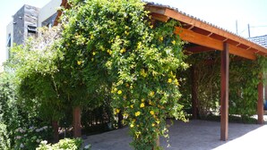 Uma área externa coberta com estrutura de pérgola, rodeada por vegetação exuberante e plantas floridas.
