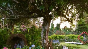 Um jardim com diversas plantas, uma estrutura de pedra e uma escultura de metal.
