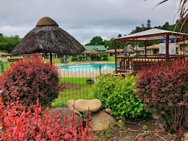 Área de piscina com estrutura de telhado de palha, cercada por vegetação exuberante e um deck com cerca.