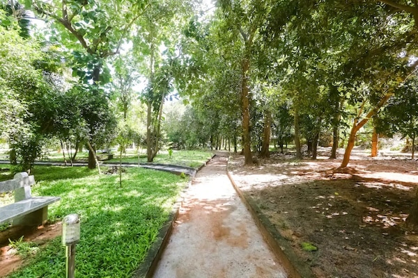 Jardim