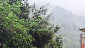 Um caminho flanqueado por árvores e um edifício com uma placa.