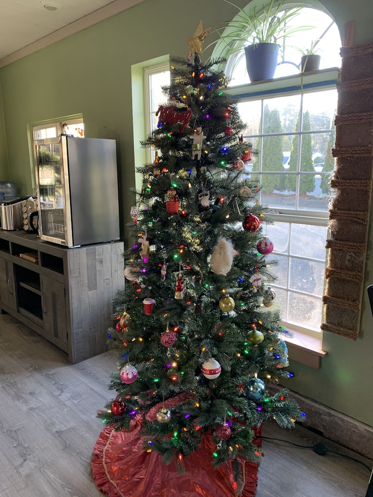 South Jetty Inn - Long Beach, WA