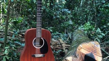 Uma guitarra acústica apoiada em um toco de árvore em uma área arborizada.
