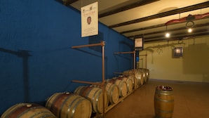Fileira de barris de vinho de madeira em adega com parede azul e placa acima.