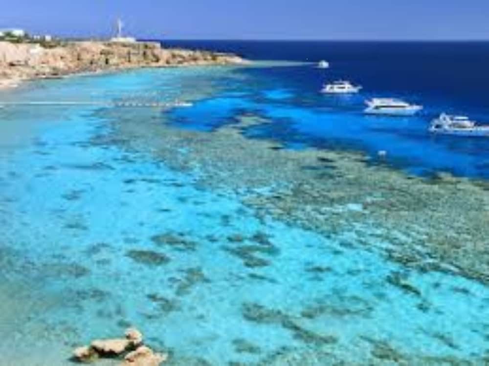 Guest House 5 En Sharm El Sheikh Directamente En La Piscina - Sharm El-Sheikh