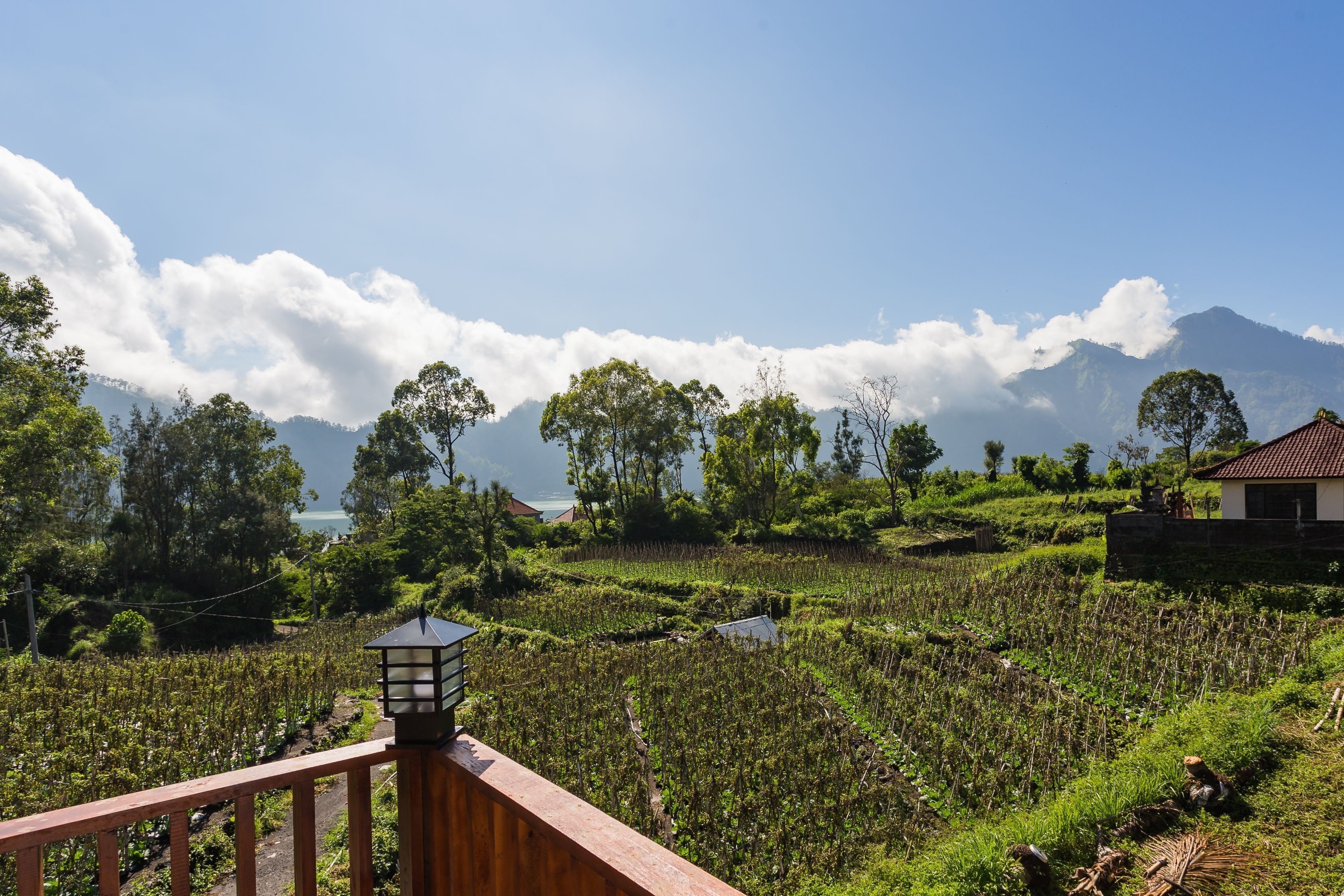 Campo de arroz em socalcos com guarda-corpo de madeira e um candeeiro, com vista para uma cadeia montanhosa.