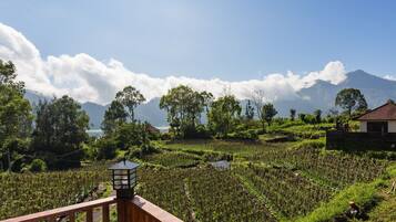 Campo de arroz em socalcos com guarda-corpo de madeira e um candeeiro, com vista para uma cadeia montanhosa.