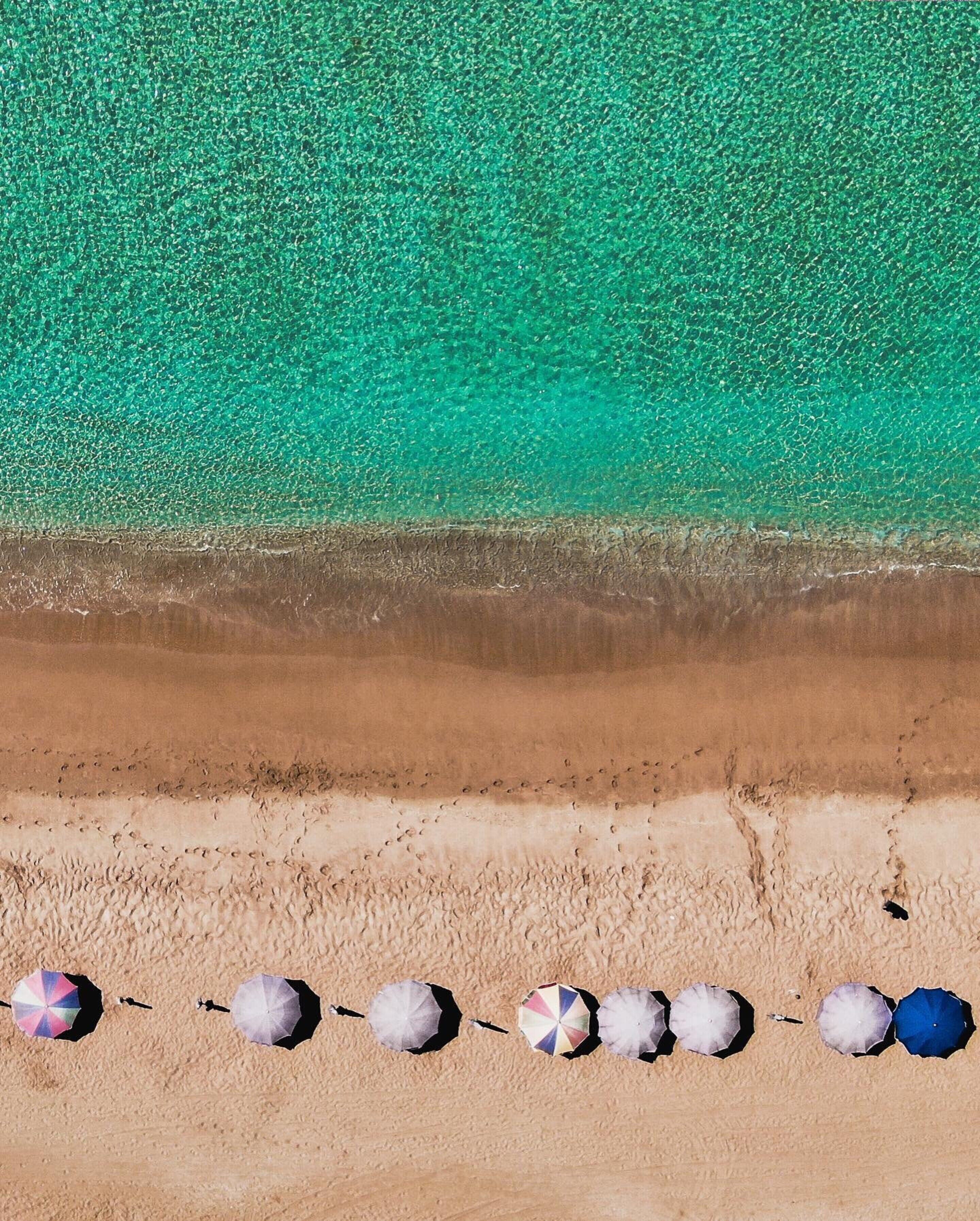 Uma praia com uma fileira de guarda-sóis e uma vista ampla do oceano.
