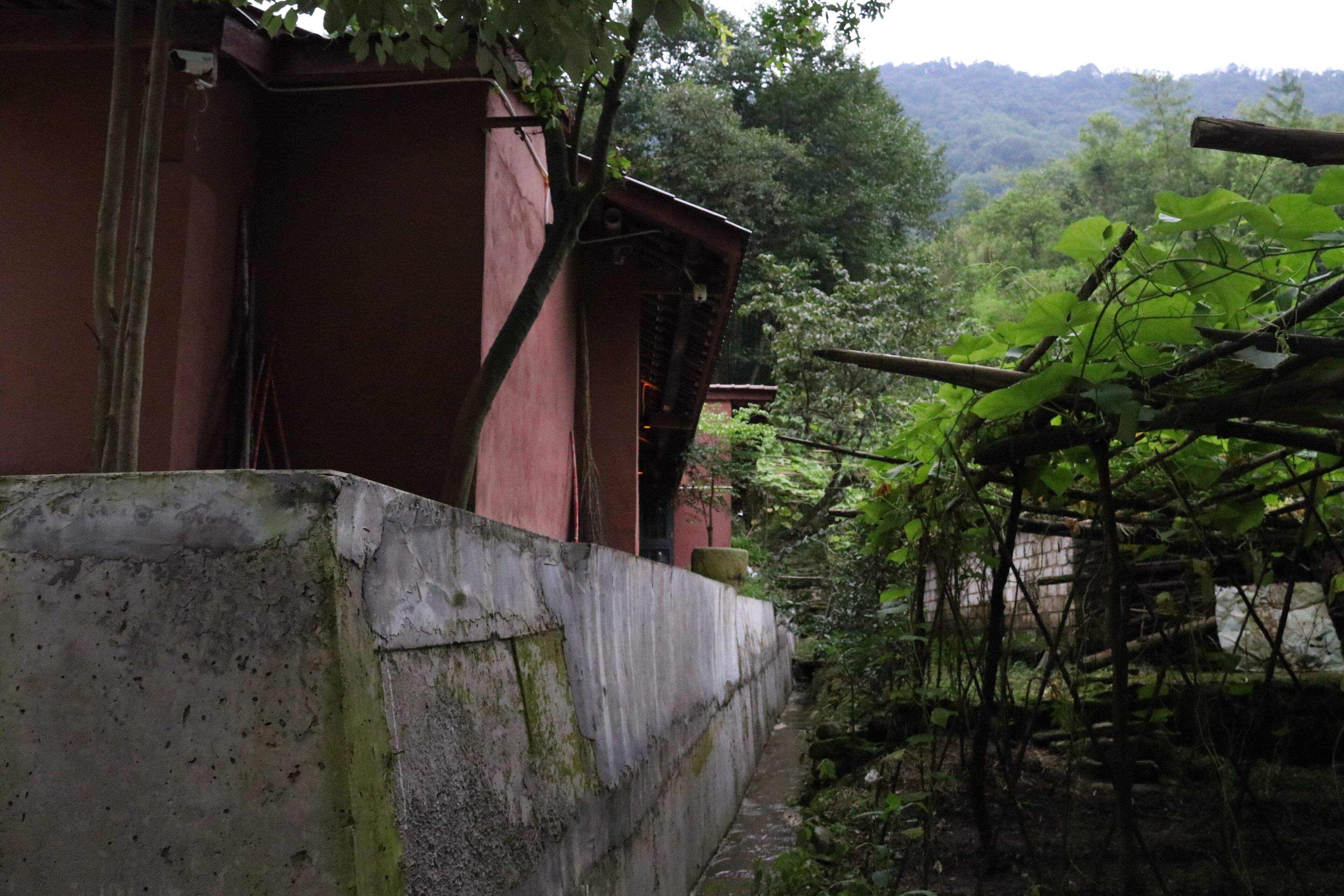Paredes de concreto com grades de metal, rodeadas por vegetação e um edifício ao fundo.