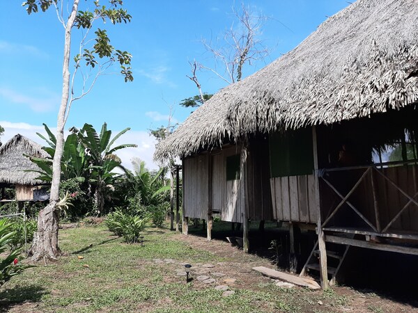 Inti Amazon Lodge - Lupuna Zona 2 - State of Amazonas