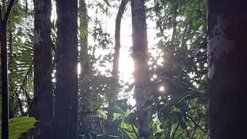 Caminhada