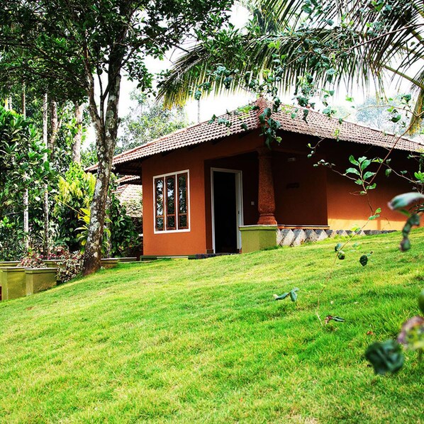 Uma casa pequena e térrea com telhado de cerâmica, rodeada por vegetação exuberante e um gramado bem cuidado.