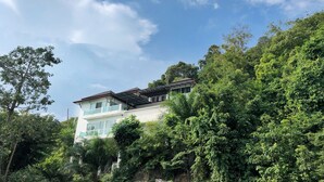 Um edifício moderno com telhado plano e grandes janelas, rodeado por vegetação densa.