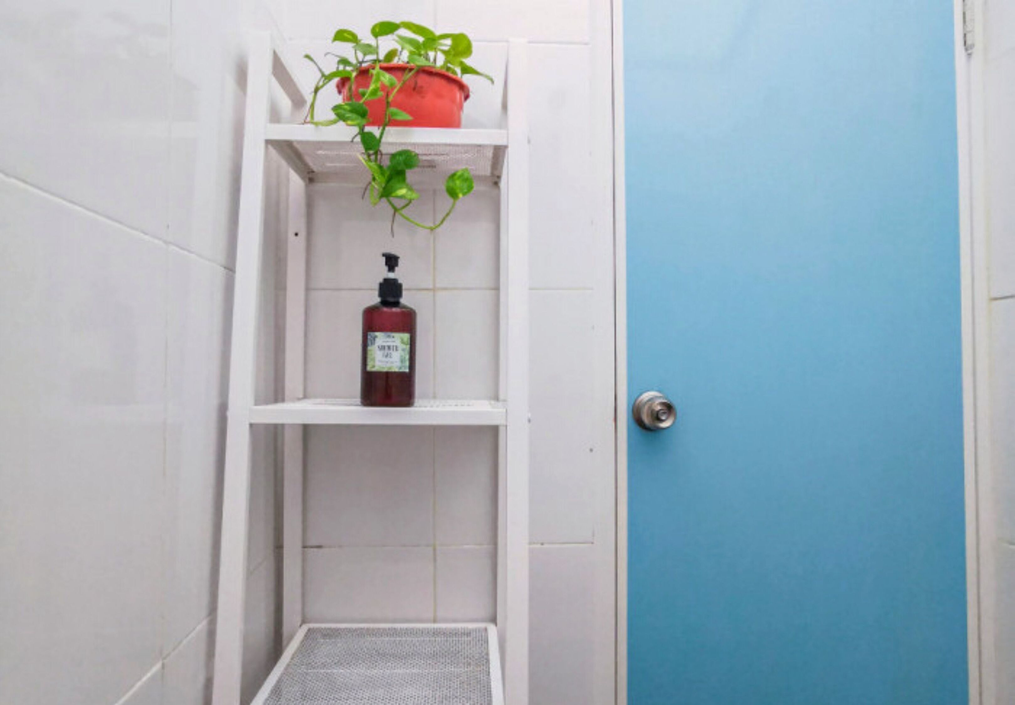 Casa de banho com paredes azulejadas em branco, uma porta azul, uma prateleira com uma planta em vaso e uma garrafa de sabonete líquido.