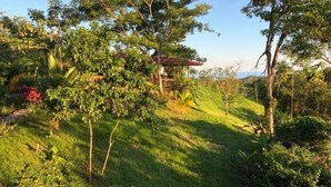 Um jardim exuberante com diversas árvores e arbustos, um pequeno gazebo e um caminho gramado.