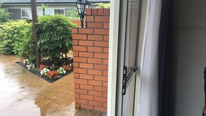 Espaço exterior molhado com parede de tijolos e planta em vaso.